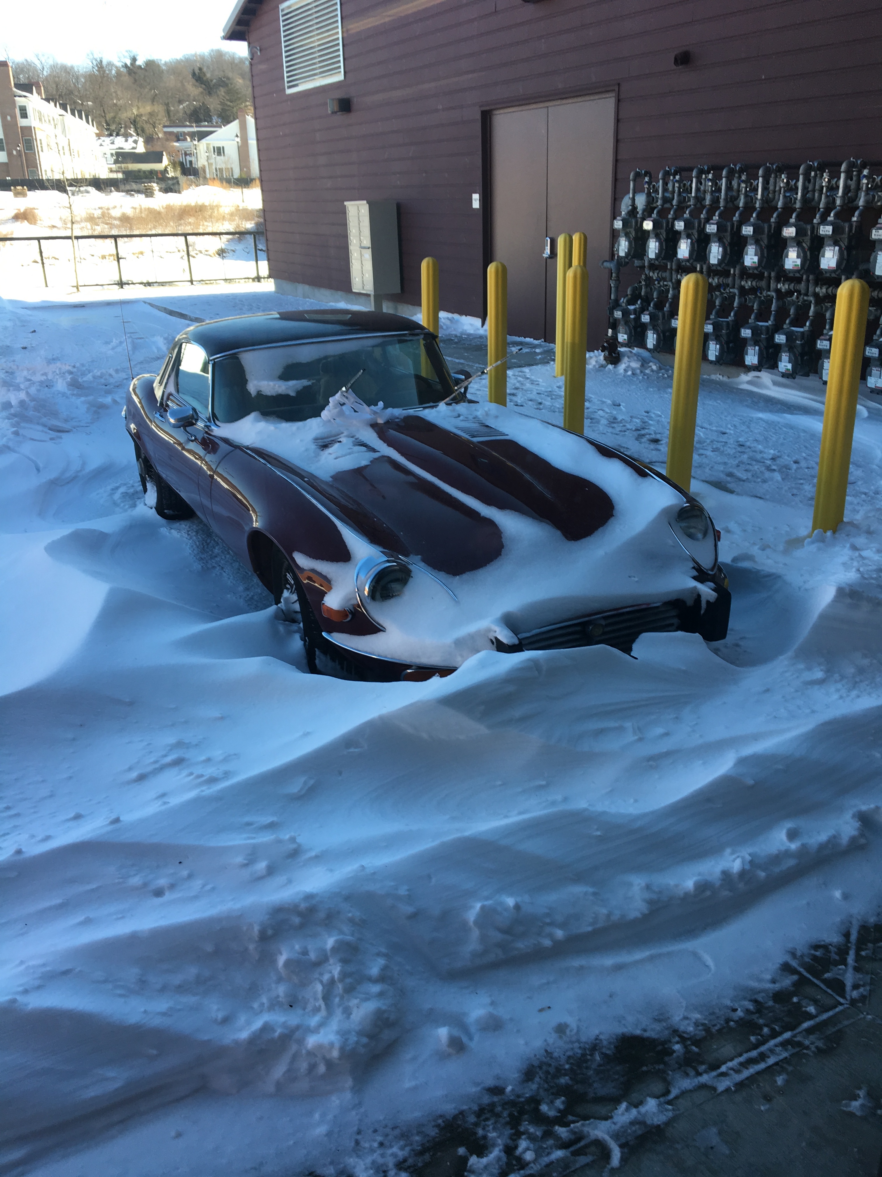 E type jag owners are dedicated baby! - E-Type - Jag-lovers Forums